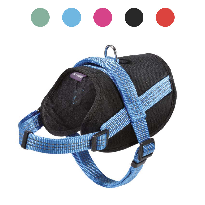 Bobby dog harness - Easy Safe