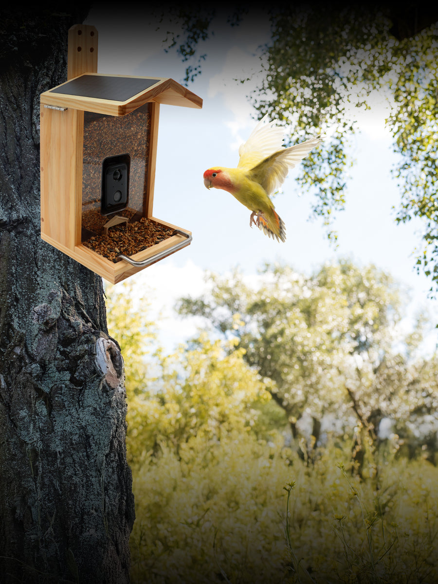 Croci Online Pet Shop
