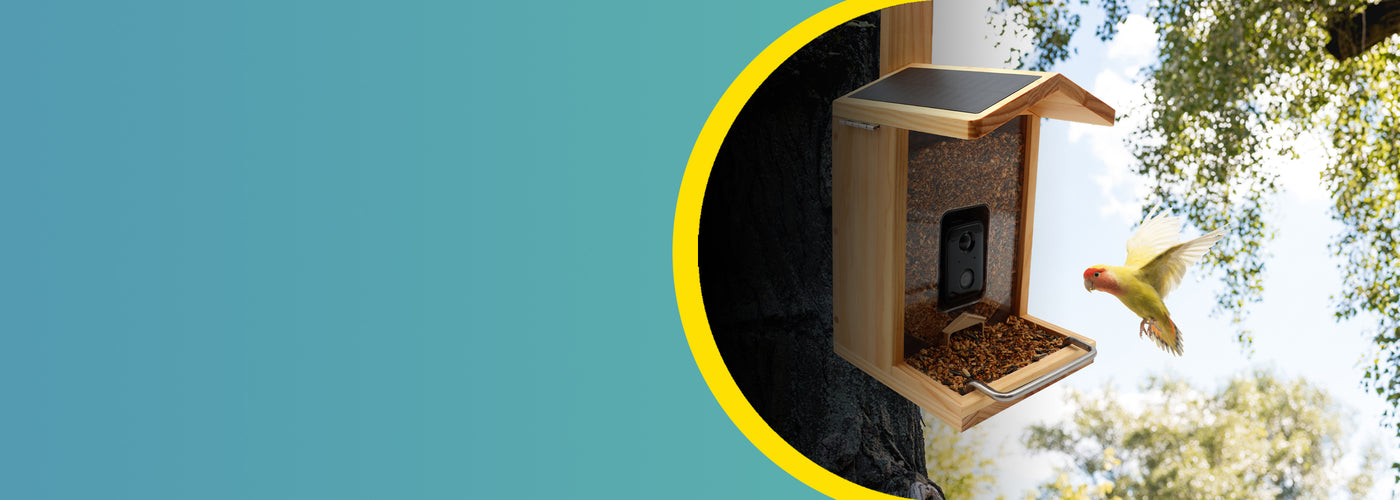 Croci Online Pet Shop