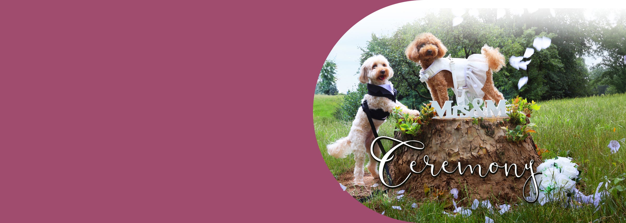 Croci Online Pet Shop