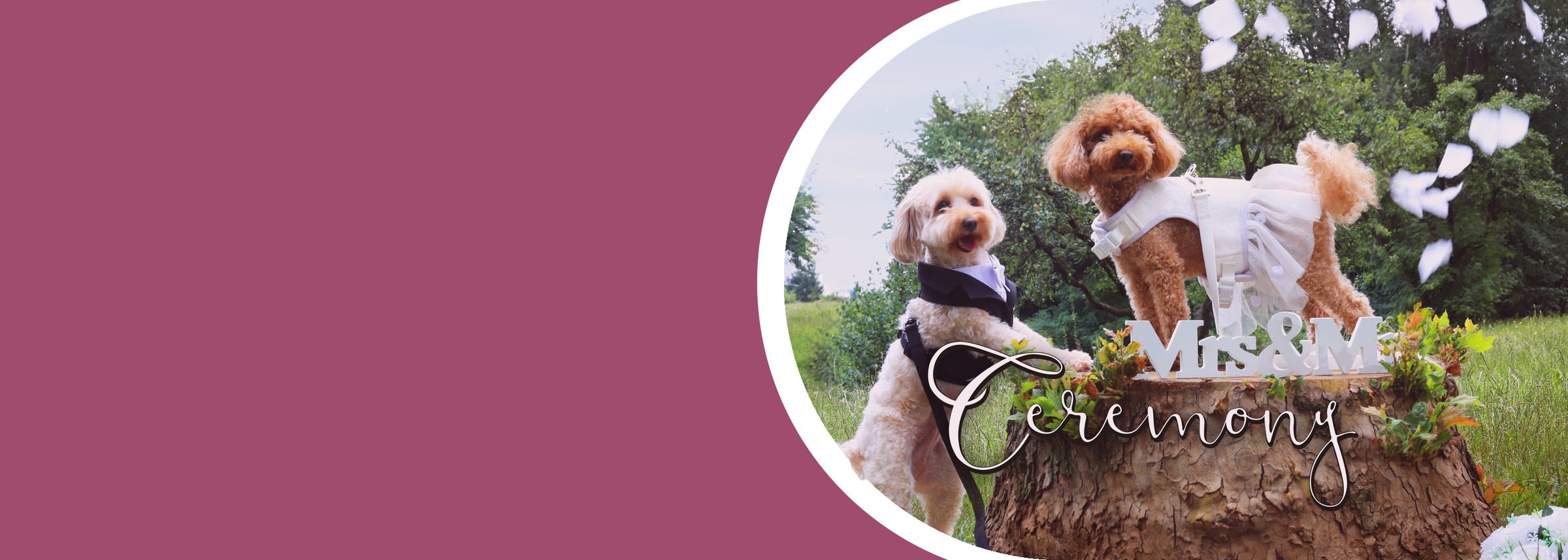 Croci Online Pet Shop